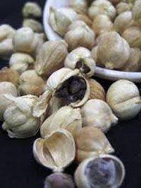 Ratunya Rempah yang Kaya Manfaat untuk Kesehatan dan Kecantikan